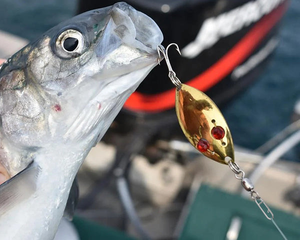 Fishing Clips High Strength Stainless Steel Fast Changing Fishing Lure ...